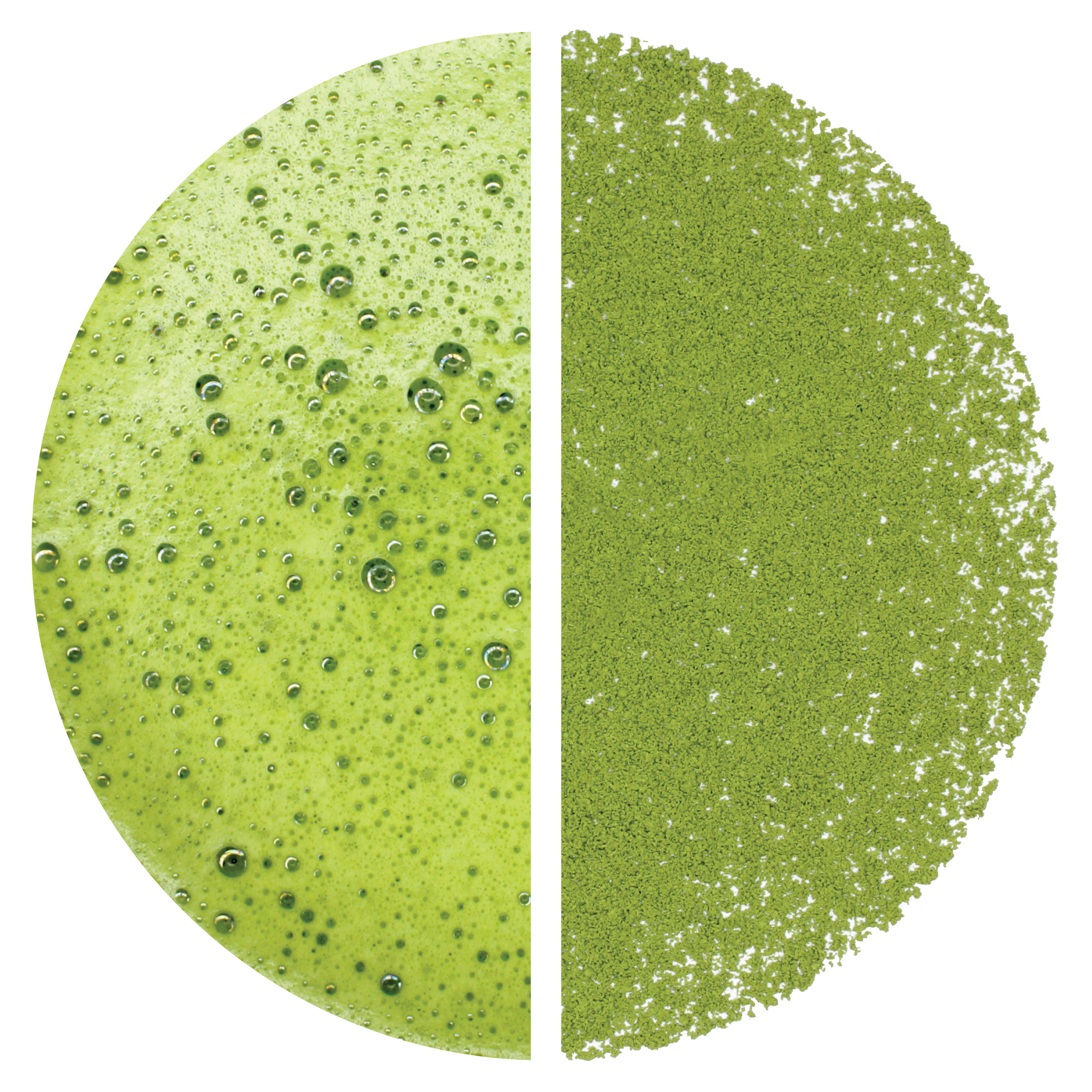 Matcha: Aoarashi (Marukyu Koyamaen) - 40 g Tin – MEM TEA