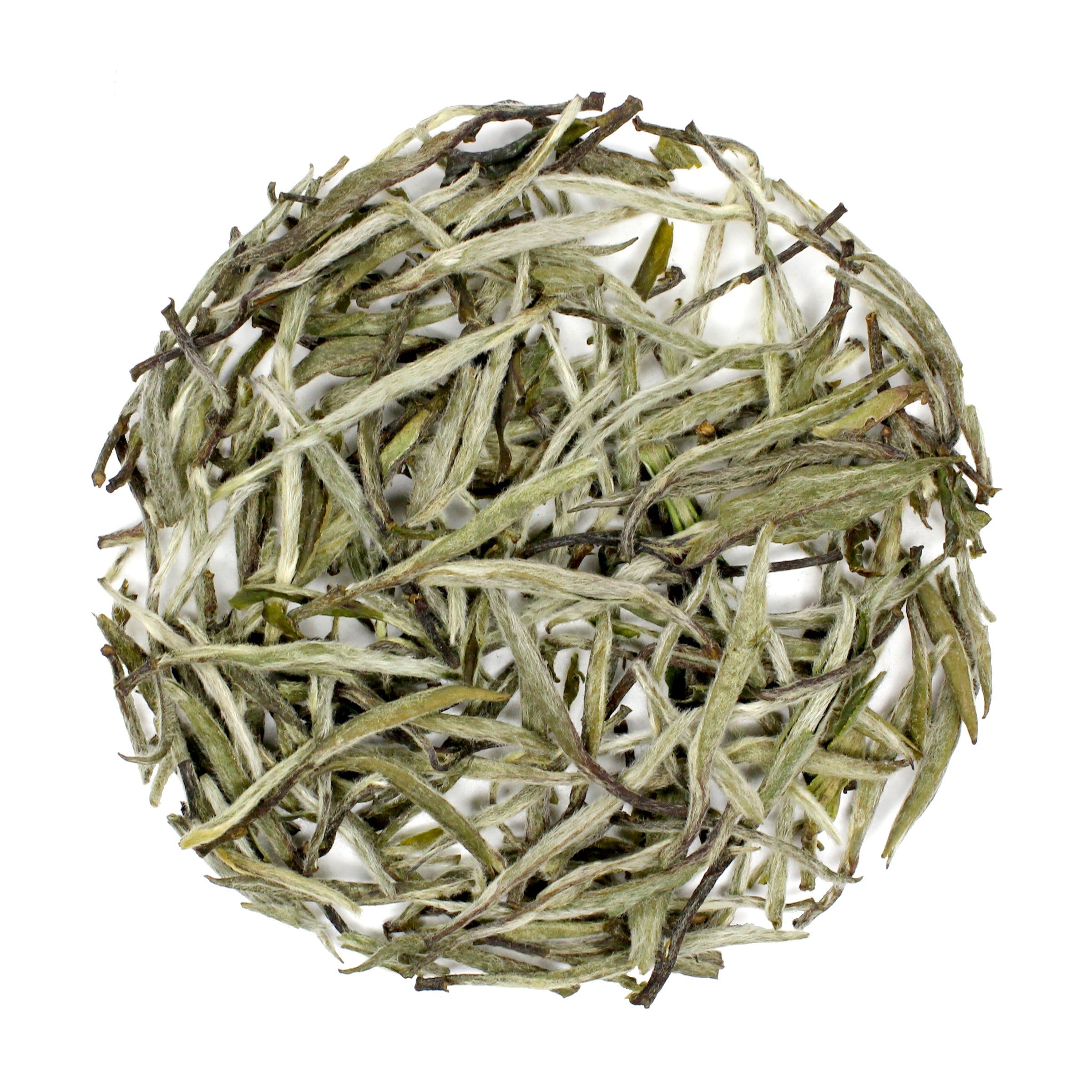 Silver Needles: Yin Zhen – MEM TEA